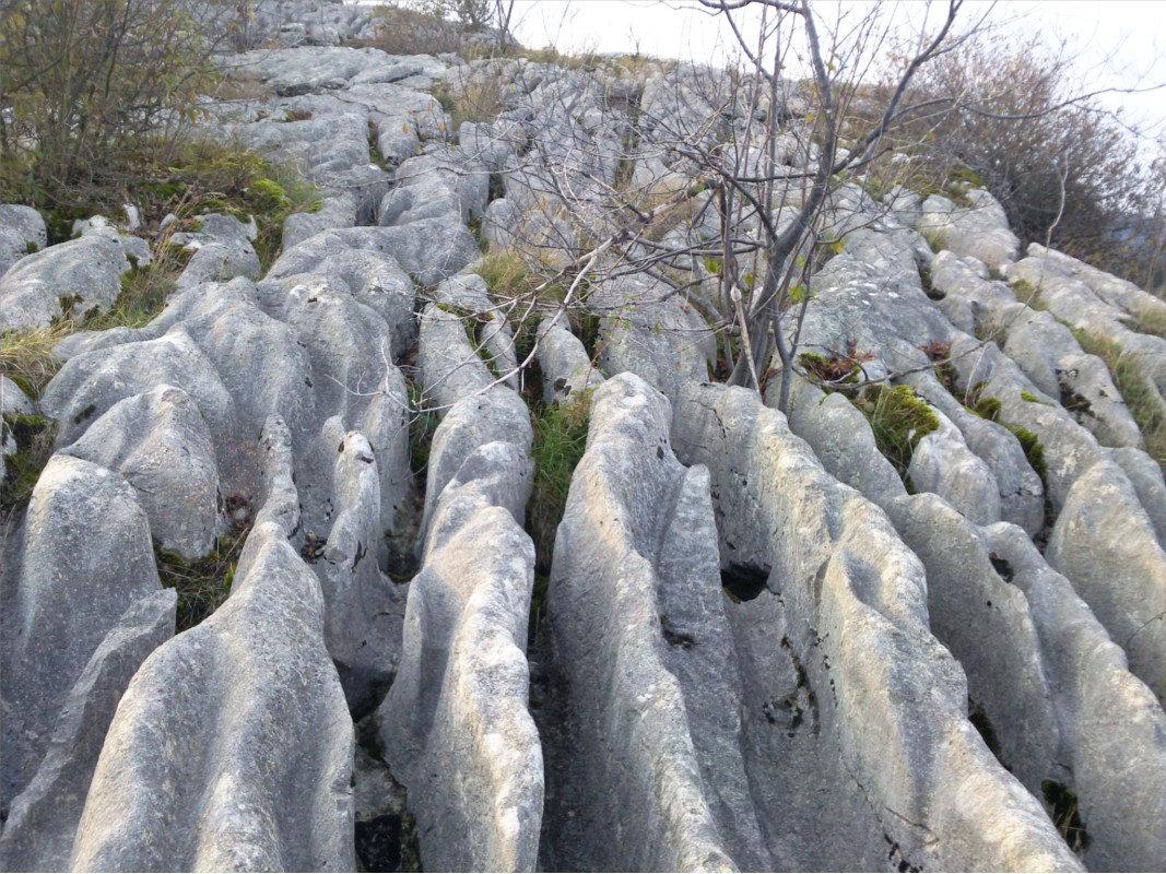 Iletait1fois...: Lapiés